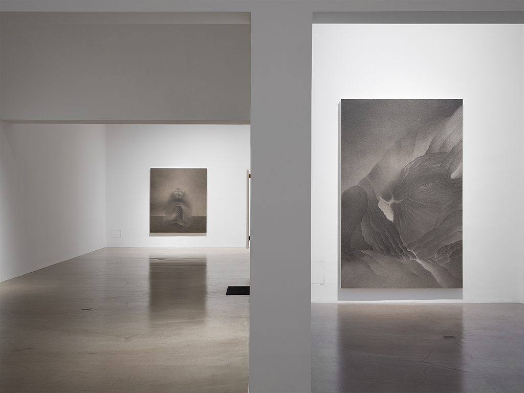 邵帆：以兔之名 – 镜花园 Mirrored Gardens